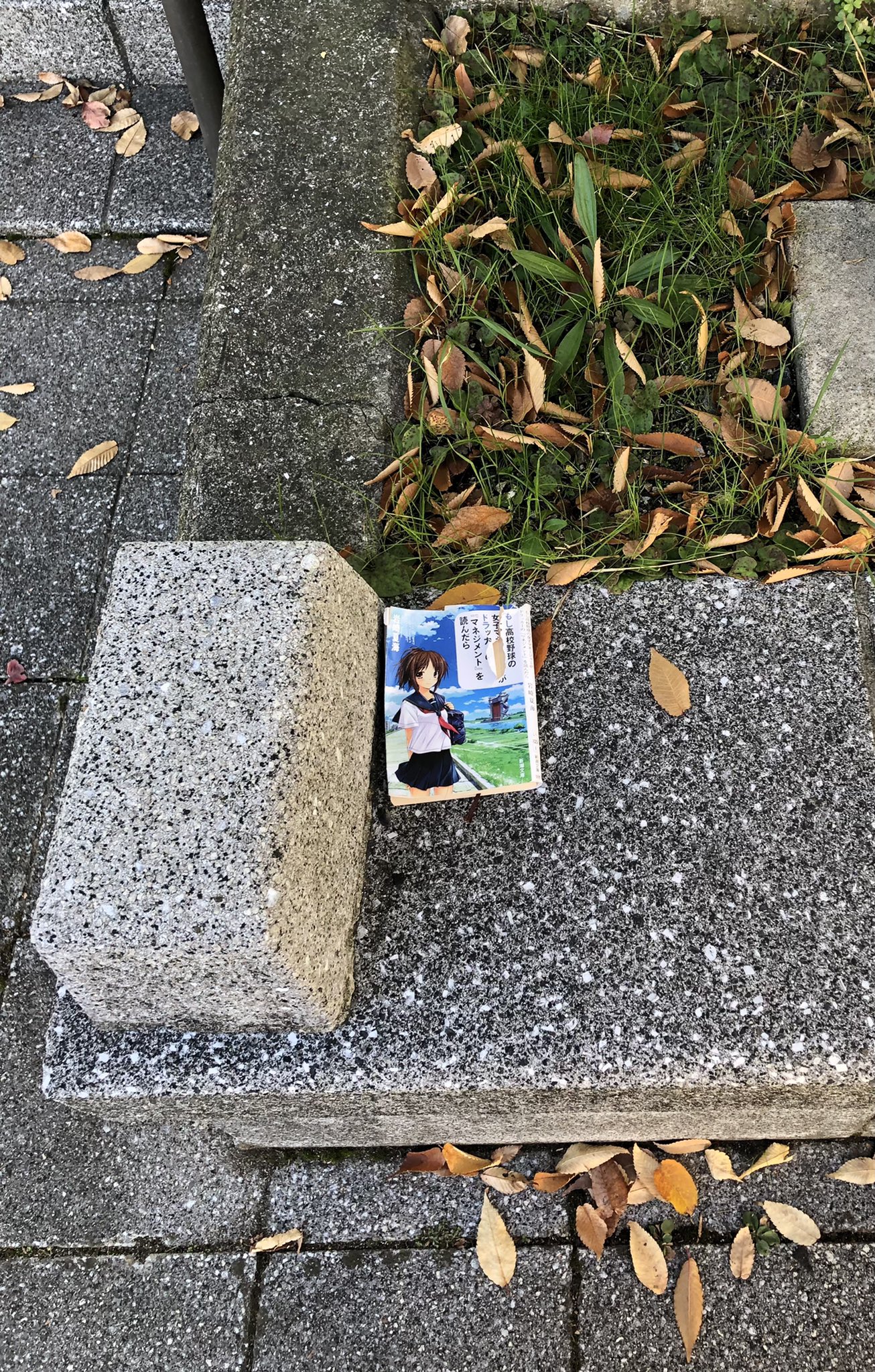 街の萌えるモノHAUU！（はうぅ！）第一回「はうぅってなんだ」 | 萌研日誌(仮)